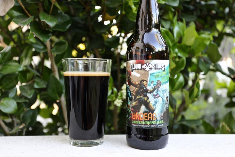 Bodhizafa IPA - Georgetown Brewing Company - Beer of the Day