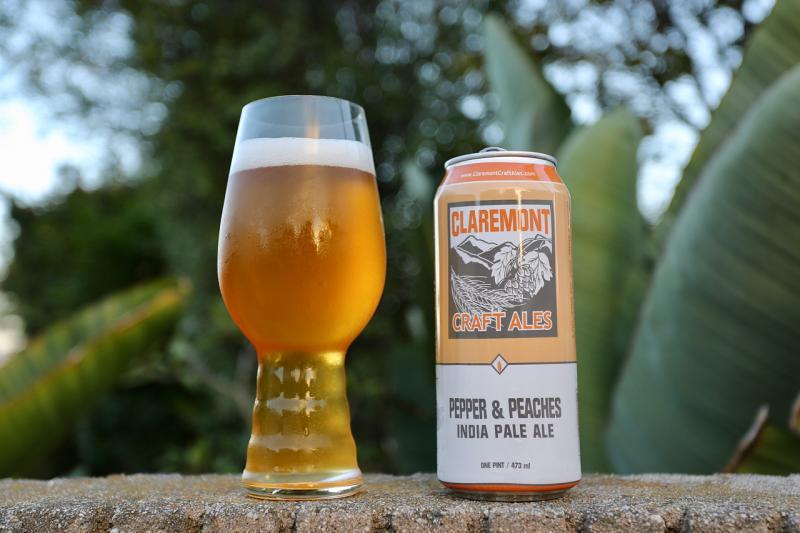 Smashed Blueberry - Shipyard Brewing Co. - Beer of the Day